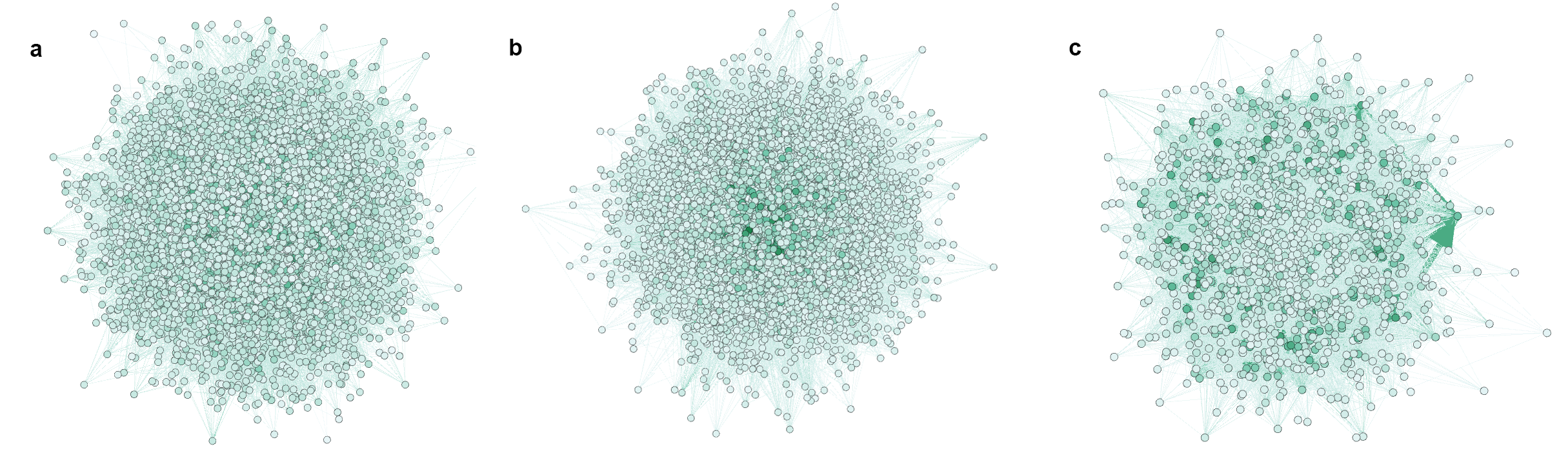 Neural Pathways Lab - Home